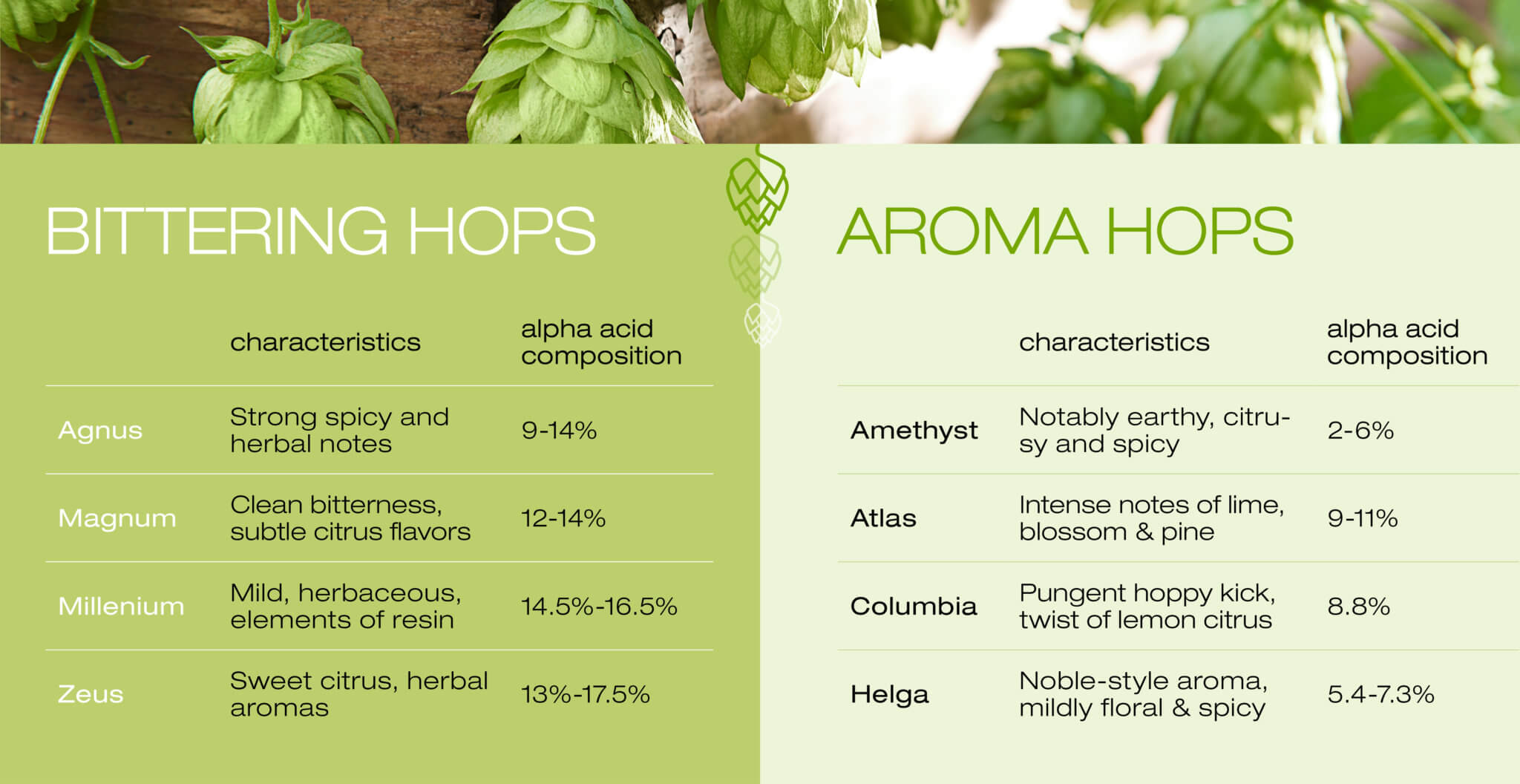 5 questions to answer about hop lemonade