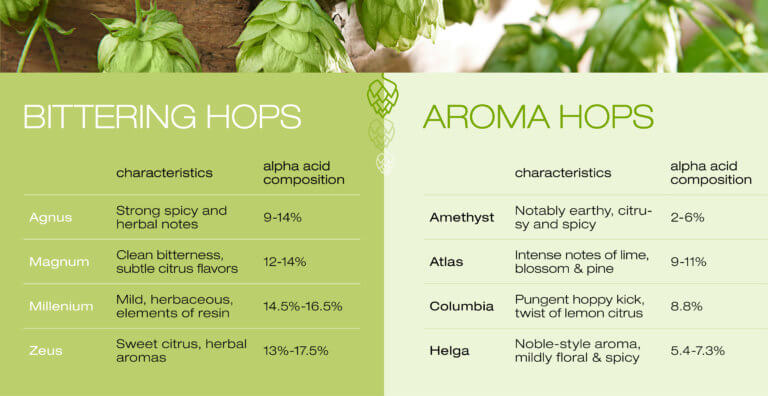 5 questions to answer about hop lemonade