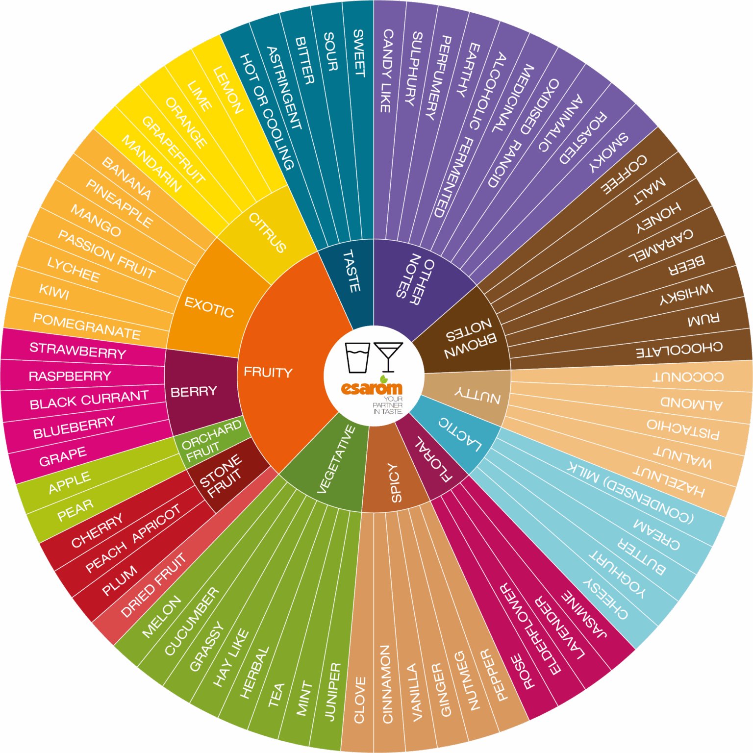 flavour wheel - beverages | Esarom Your Partner in Taste