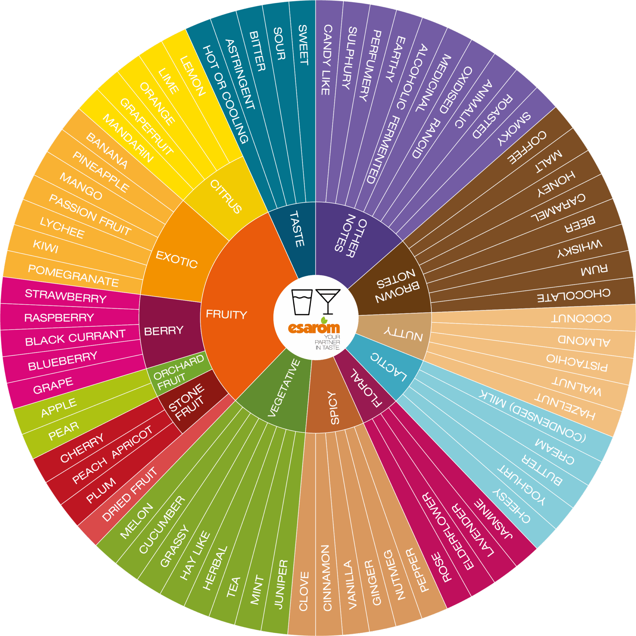 flavour wheel - beverages | Esarom Your Partner in Taste